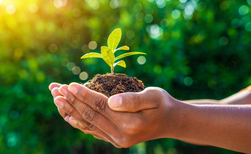 On Earth Day, Meet the World's Largest Reforestation Project • 360 Angola
