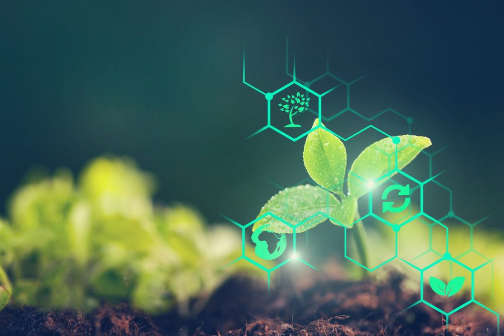 Digital Agriculture Gains Ground in Africa • 360 Angola