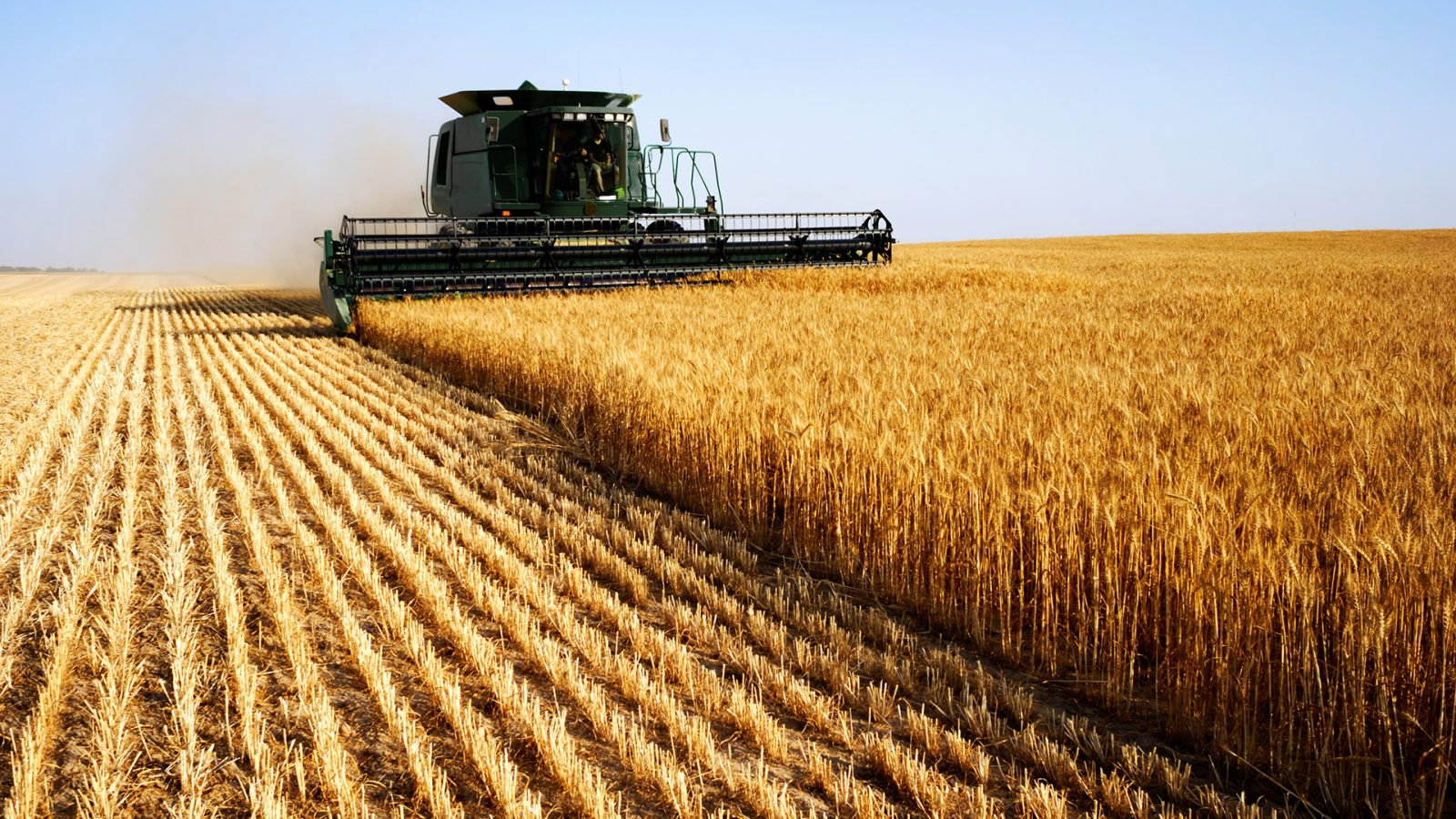 Food Life Invests $3 Million in Agro-Food Industry Construction in ...
