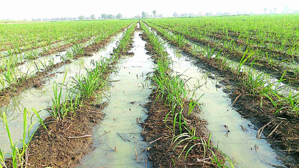 Maputo Province: Floods and Flooding threaten sugar production • 360 Angola