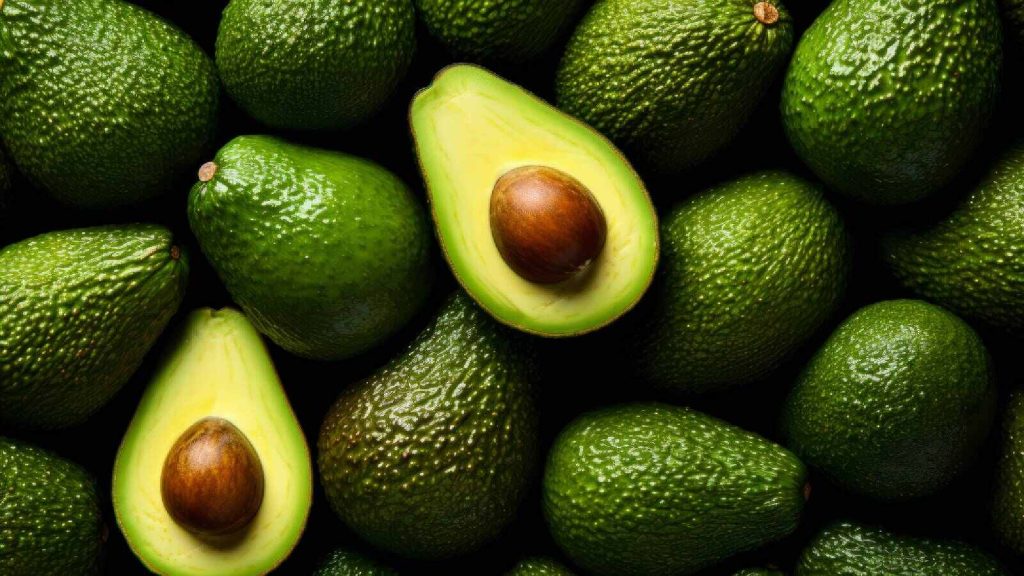 Avocado Exports to the Netherlands Mark a New Phase for the “Billion ...