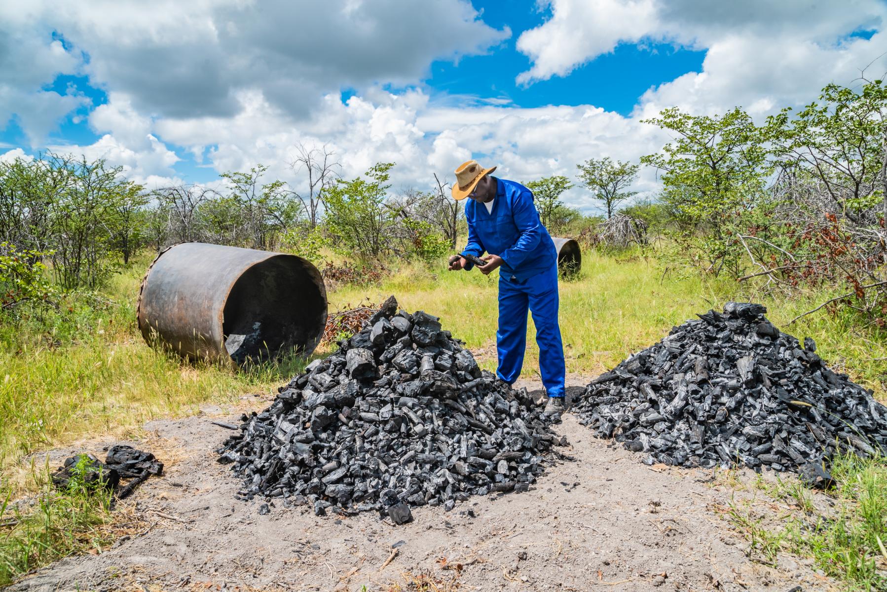 Namibia Receives Major Investment for Local Charcoal Industry • 360 Angola