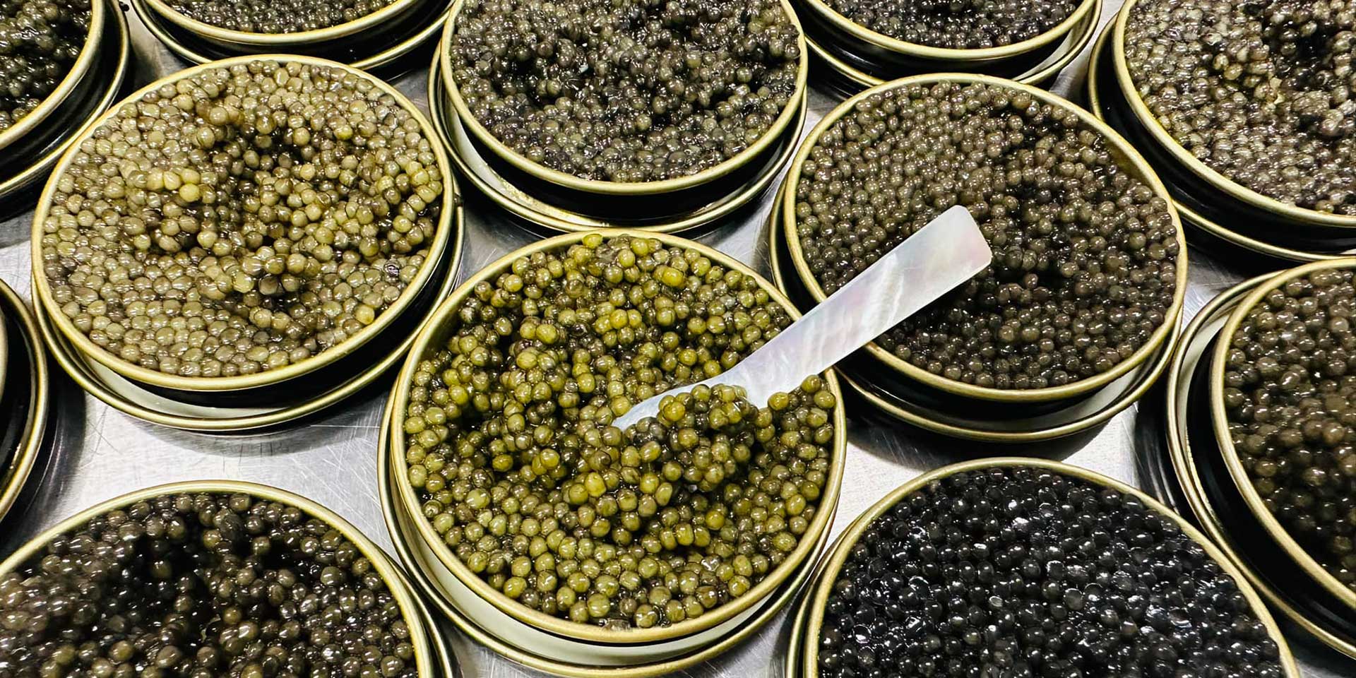 At Over $10,000 per Kilogram, Africa’s First Caviar is Surprising the ...