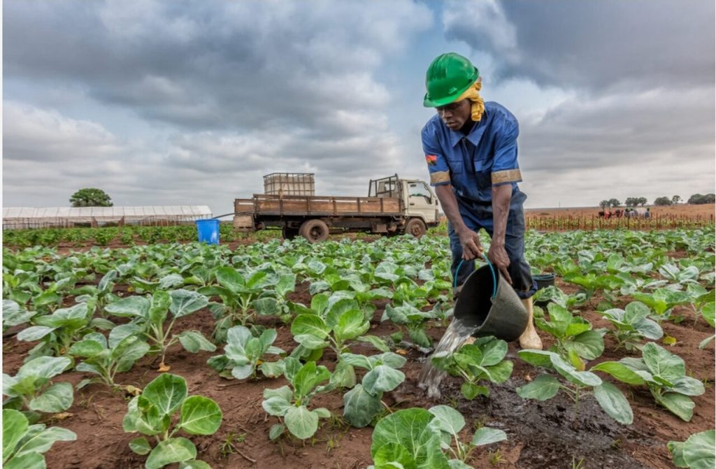 “Food Security Depends on Increasing Domestic Production,” Says ...